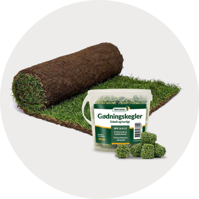 Stor guide: Krydderurter mod myg, insekter, fluer og katte