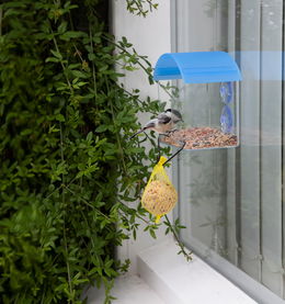 Foderstation til vindue